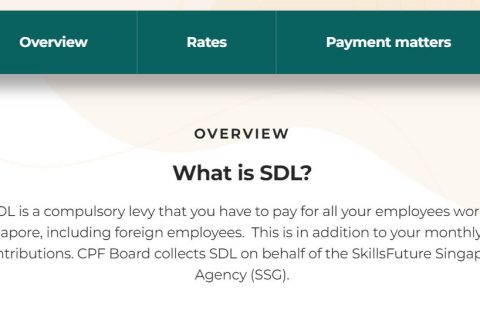 新加坡工作准证类型对比（EP vs SP vs WP）政策全解析 | 群大国际